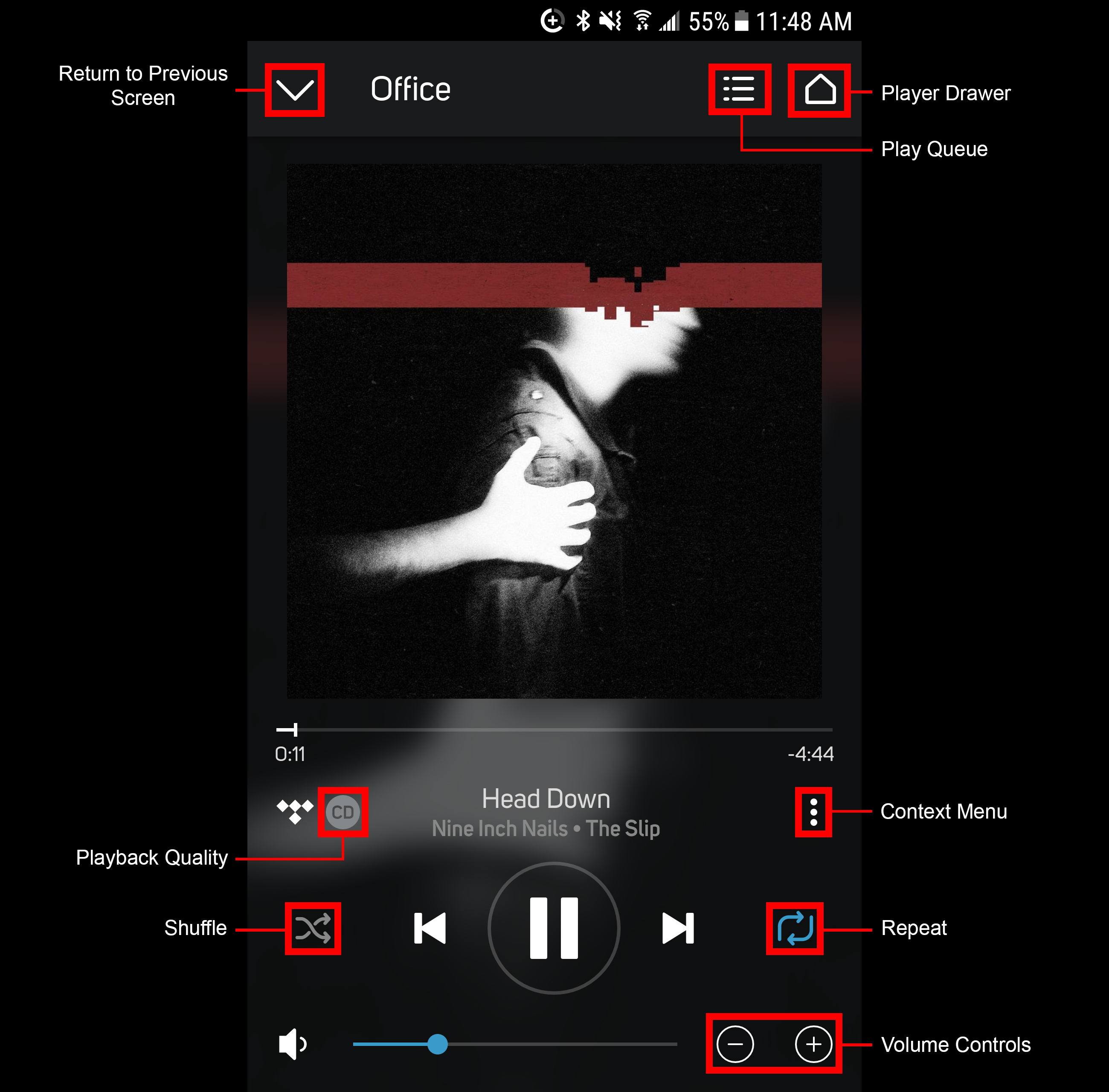 How to view the Now Playing Screen? – The BluOS Support Crew