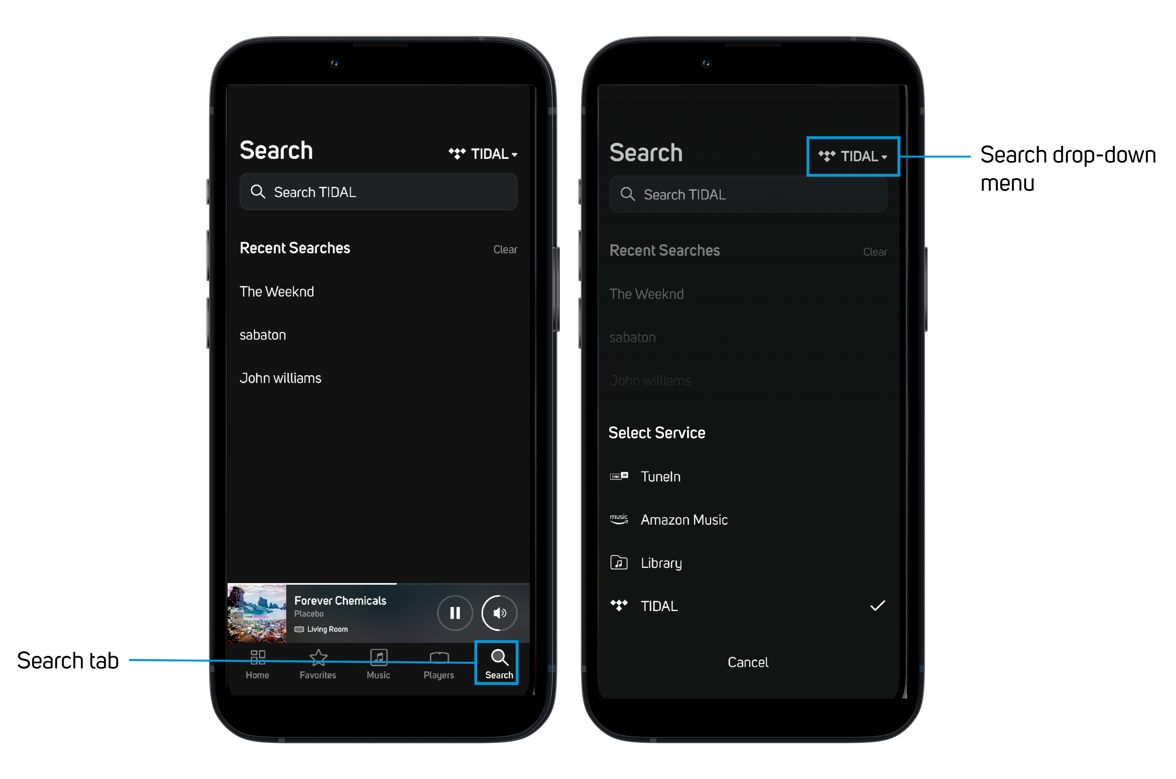 How to search for a song or track on the BluOS Controller App? – The BluOS Support Crew